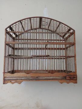 "gaiolas de trinca" - Outros animais no Brasil