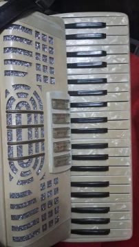 "sanfona ou acordeon" - Instrumentos musicais no Brasil