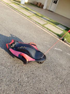 "carrinhos de rolima" no Brasil