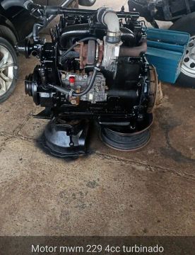 "motor mwm 229" no Brasil