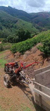 "micro trator agricola" - Tratores e máquinas agrícolas no Brasil