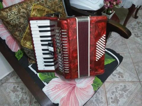 "sanfona ou acordeon" - Instrumentos musicais no Brasil