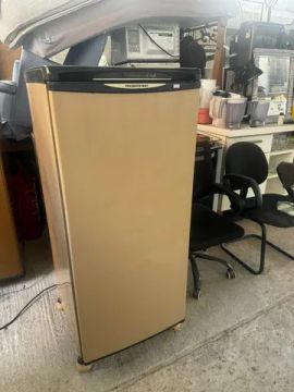 "freezer vertical prosdocimo" - Geladeiras e Freezers no Brasil