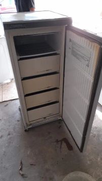 "freezer vertical prosdocimo" - Geladeiras e Freezers no Brasil