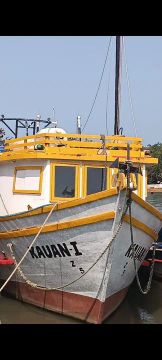 "timao de barco" no Brasil