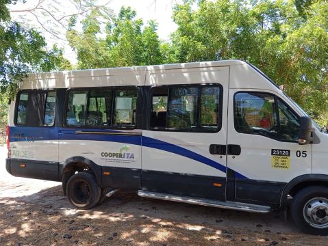 IVECO DAILY MINIBUS Usados e Novos