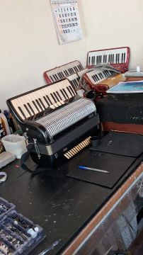 "sanfona ou acordeon" - Instrumentos musicais no Brasil