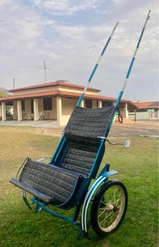 "charrete" no Brasil