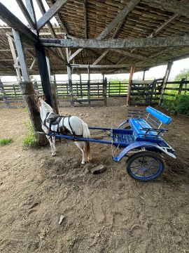 "arreios de charretes" no Brasil
