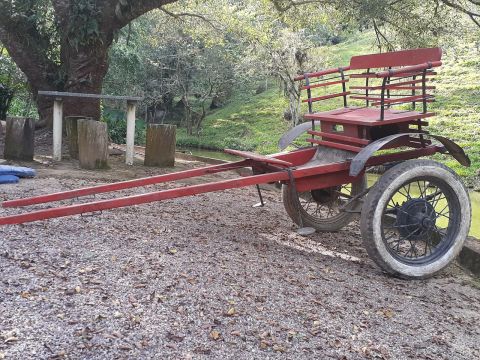 "charrete" no Brasil