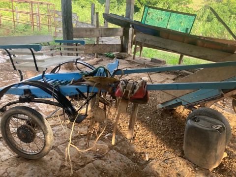 "charrete" no Brasil