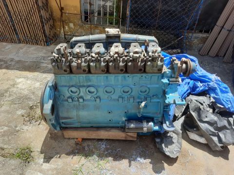 "motor mwm 229" no Brasil