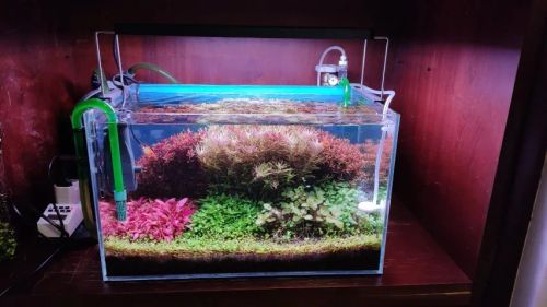 "canister eheim" no Brasil