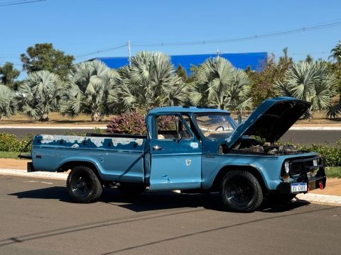 CHEVROLET D-10 Usados e Novos