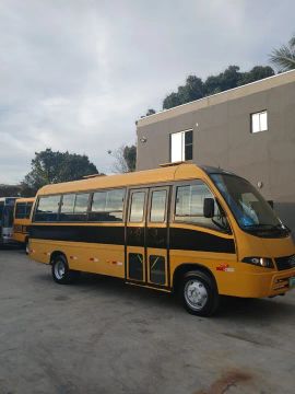 Micro ônibus no Brasil
