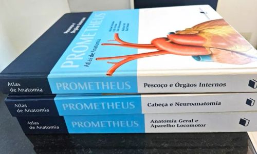 "prometheus" no Brasil