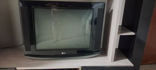 "tv lg 14 polegadas tubo" - TVs no Brasil