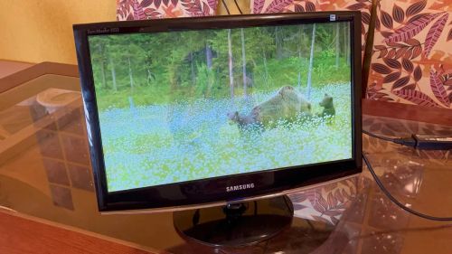 "monitor sansung 20" no Brasil