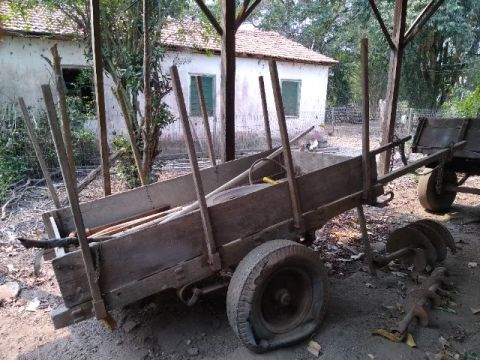 "carroca de animal" no Brasil