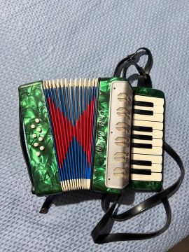 "sanfona ou acordeon" - Instrumentos musicais no Brasil