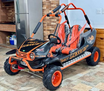 "mini buggy a gasolina" no Brasil