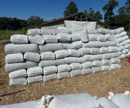 "saco de milho" no Brasil