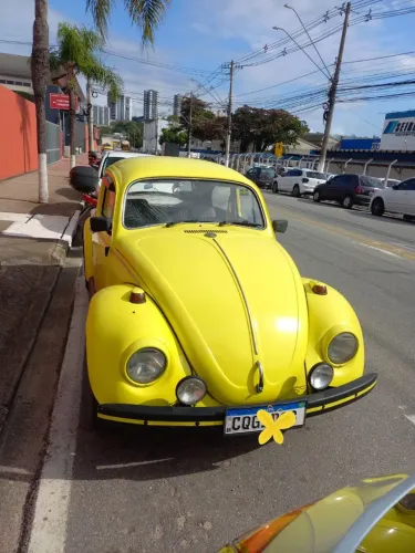 Volkswagen Fusca 1976 Usados e Novos