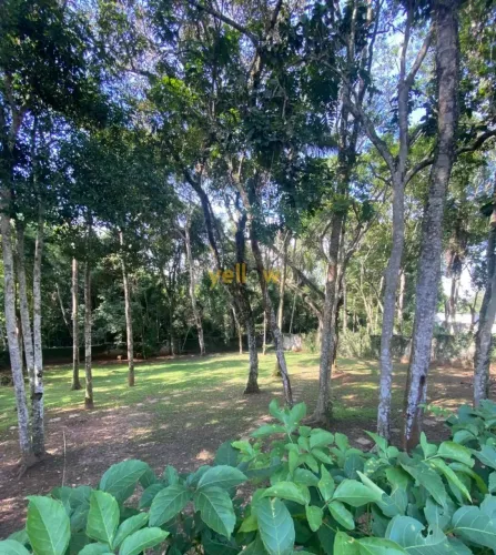 Imóveis - Santa Isabel, SP | OLX