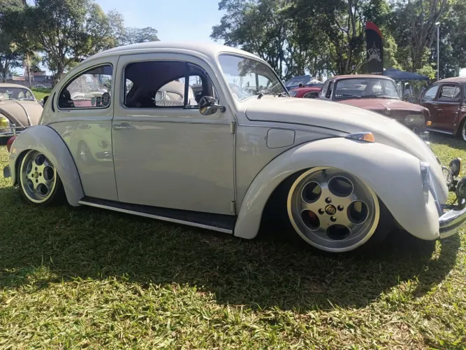 Volkswagen Fusca 1982 Usados e Novos