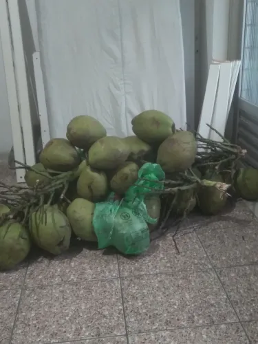 "coco verde" no Brasil