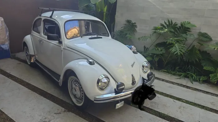 Volkswagen Fusca 1972 Usados e Novos