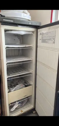 "prosdocimo geladeira" - Geladeiras e Freezers no Brasil