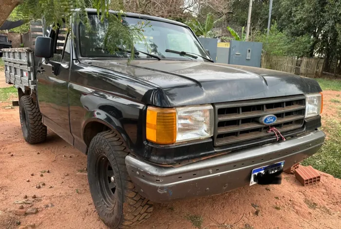 Ford F-1000 Usados e Novos