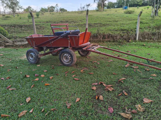"carroca de animal" no Brasil