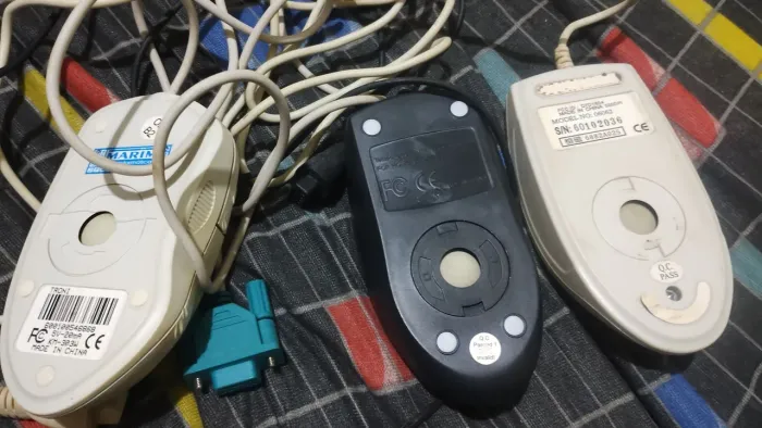 "mouse com bolinha" no Brasil