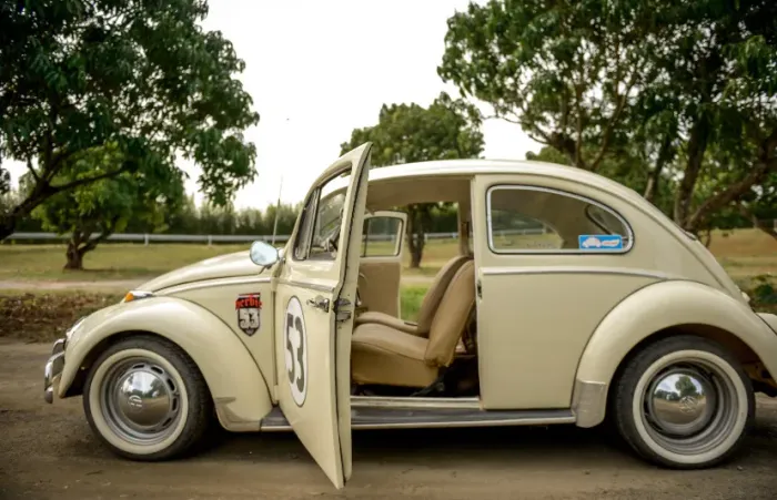Volkswagen Fusca 1969 Usados e Novos