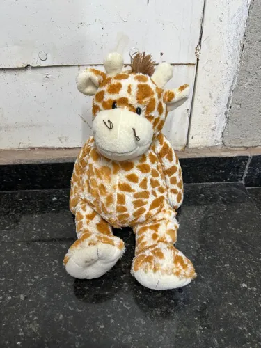 "girafa motor" no Brasil