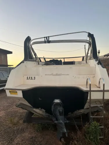 "cimitarra" no Brasil