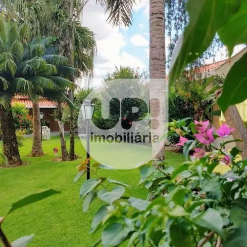 Imóveis à venda - Vila Bela Vista, Rio Claro - SP | OLX