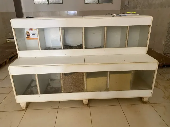 "balcao pra lojas" no Brasil