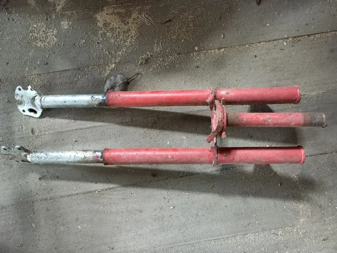 "garelli 3" no Brasil