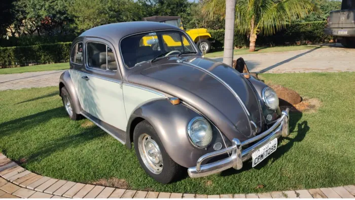 Volkswagen Fusca 1969 Usados e Novos
