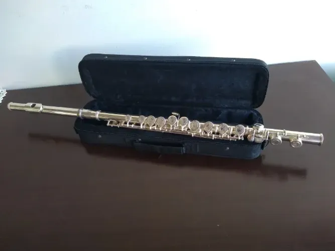 "flauta transversal original" - Instrumentos musicais no Brasil