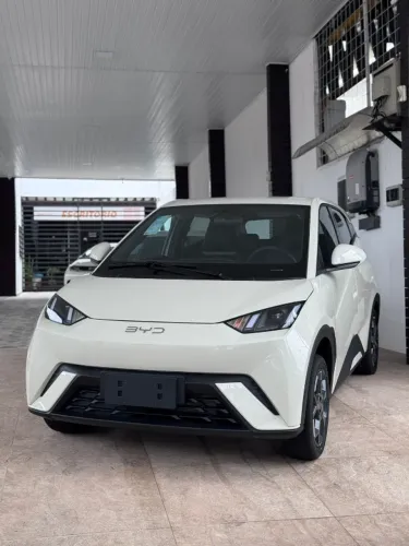 BYD Dolphin Mini (Elétrico) Usados e Novos em Manaus e região, AM