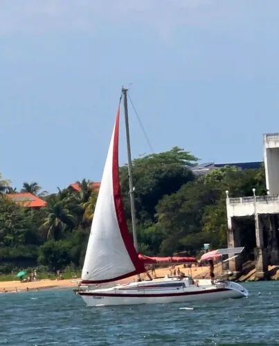 "veleiro dingue" no Brasil