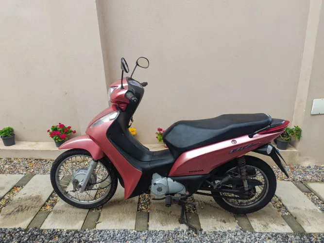 "moto rosa" no Brasil