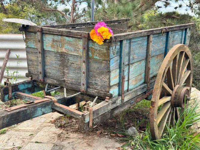 "carroca antiga" no Brasil