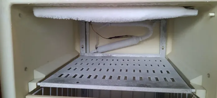 "prosdocimo geladeira" - Geladeiras e Freezers no Brasil