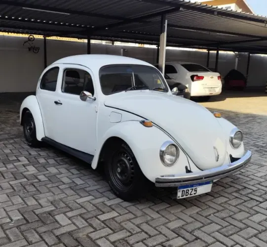 Volkswagen Fusca 1976 Usados e Novos