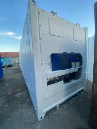"container refrigerado" no Brasil